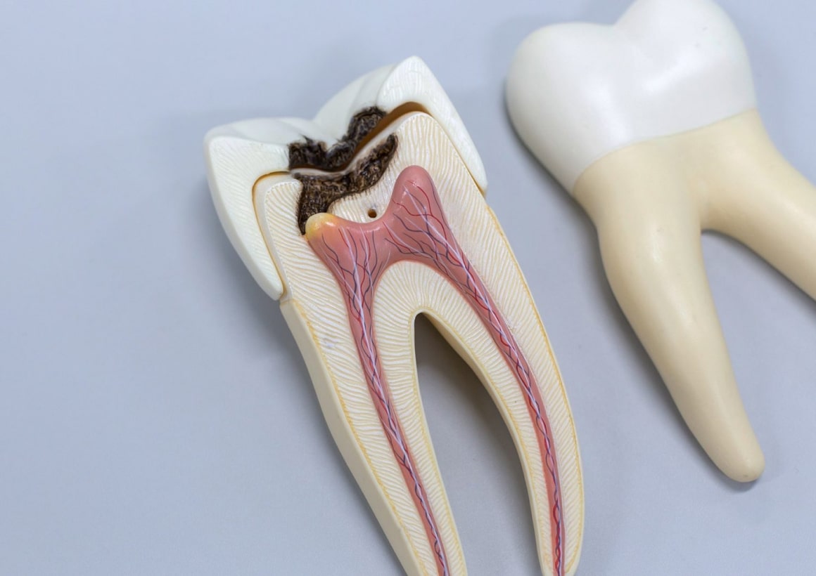 Dental Concepts
